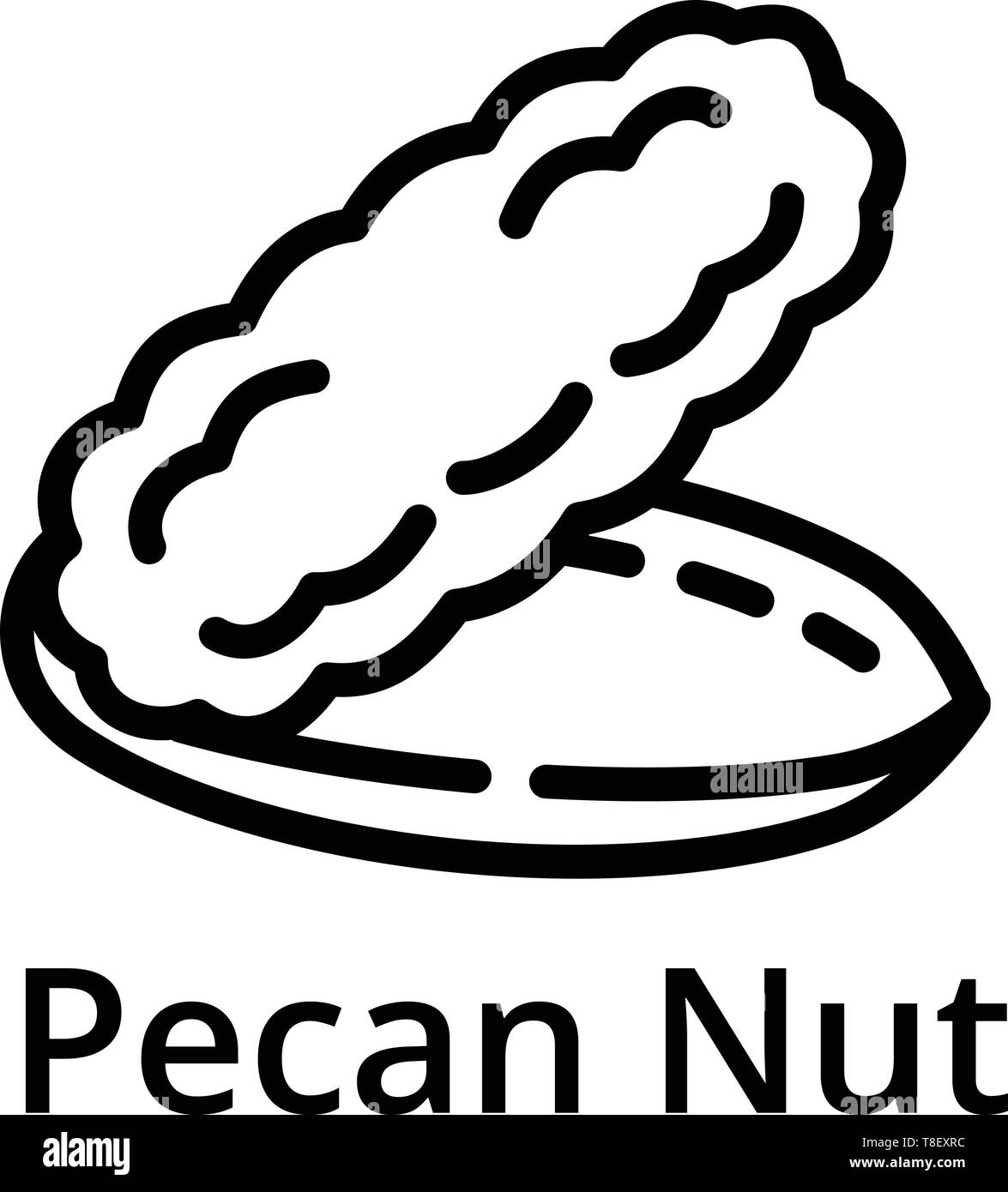 Pecan nut icon. Outline pecan nut vector icon for web design isolated ...