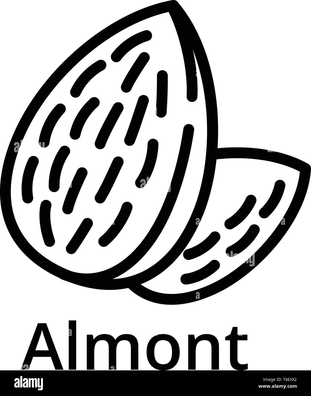 Almond icon. Outline almond vector icon for web design isolated on ...