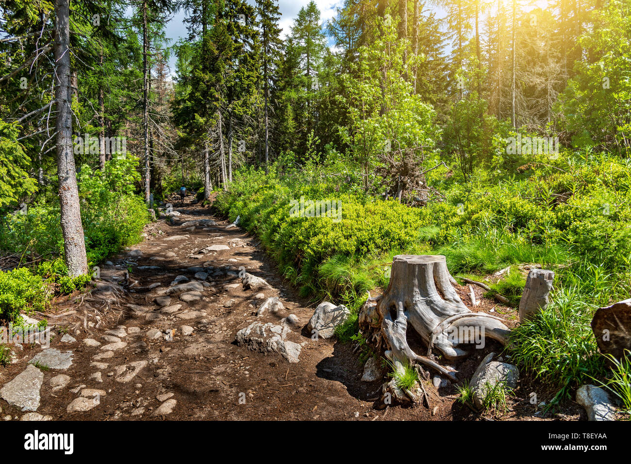 Clay trail hi-res stock photography and images - Alamy