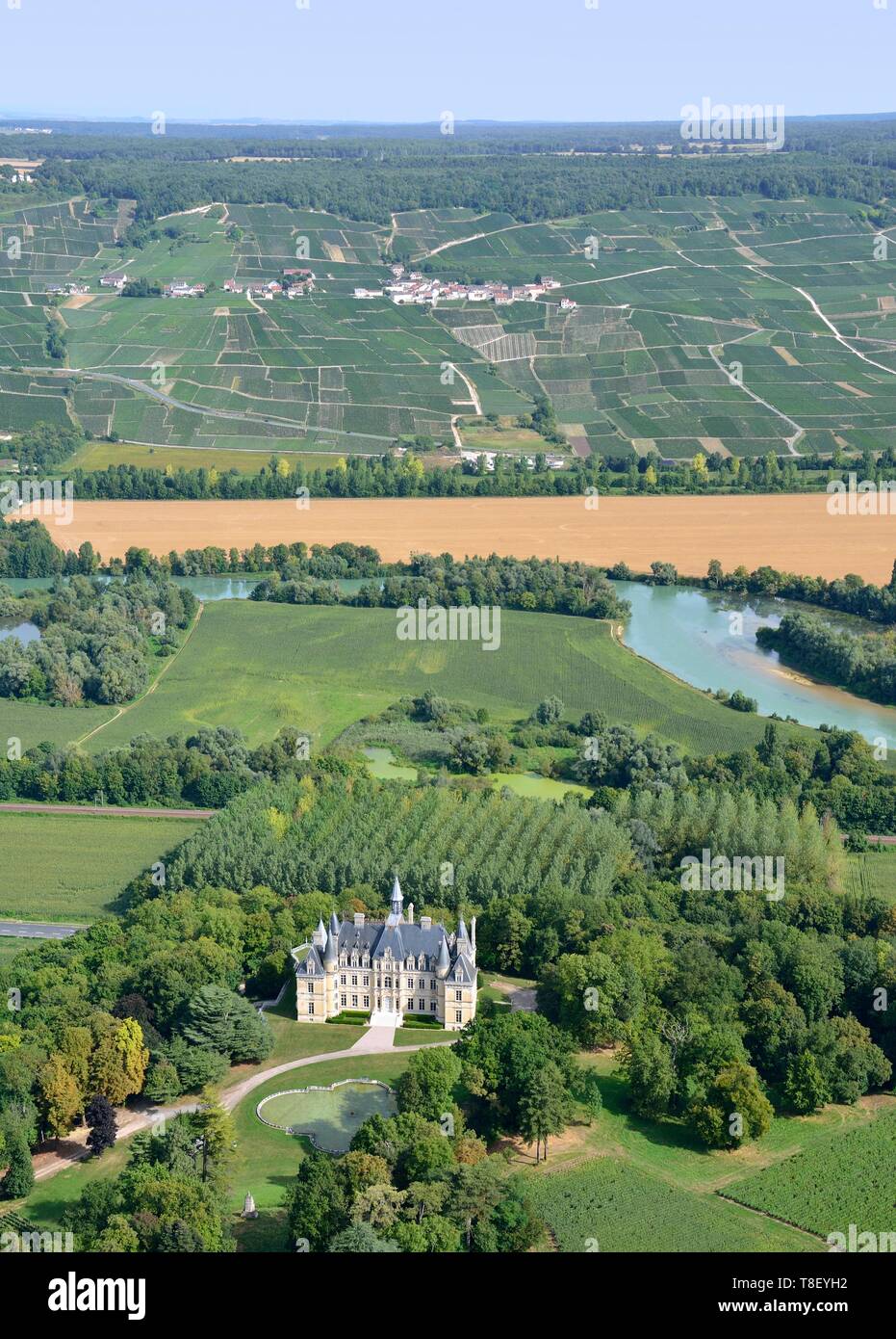 Veuve clicquot vineyard hi-res stock photography and images - Alamy