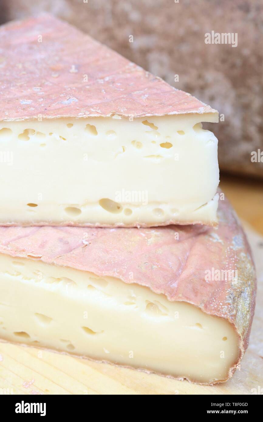 France, Nord, Lille, Halles de Wazemmes, cheese dairy La Finarde ...