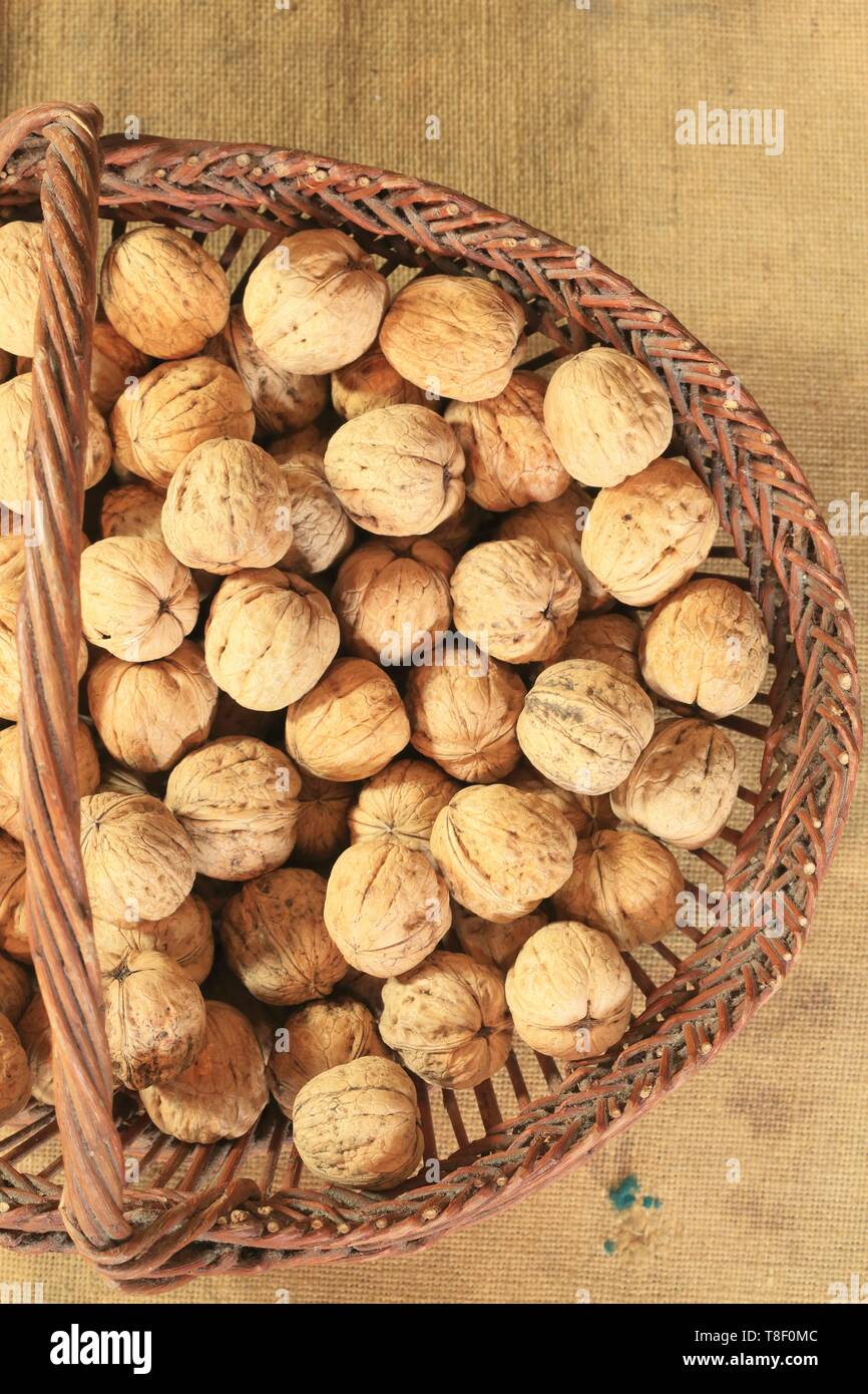France, Dordogne, Perigord, basket of nuts Stock Photo - Alamy