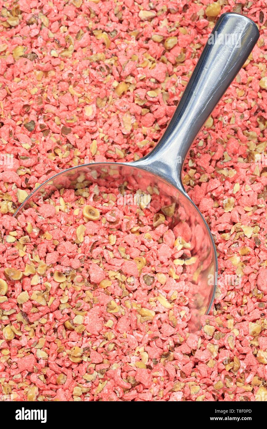 Valencian region hi-res stock photography and images - Alamy