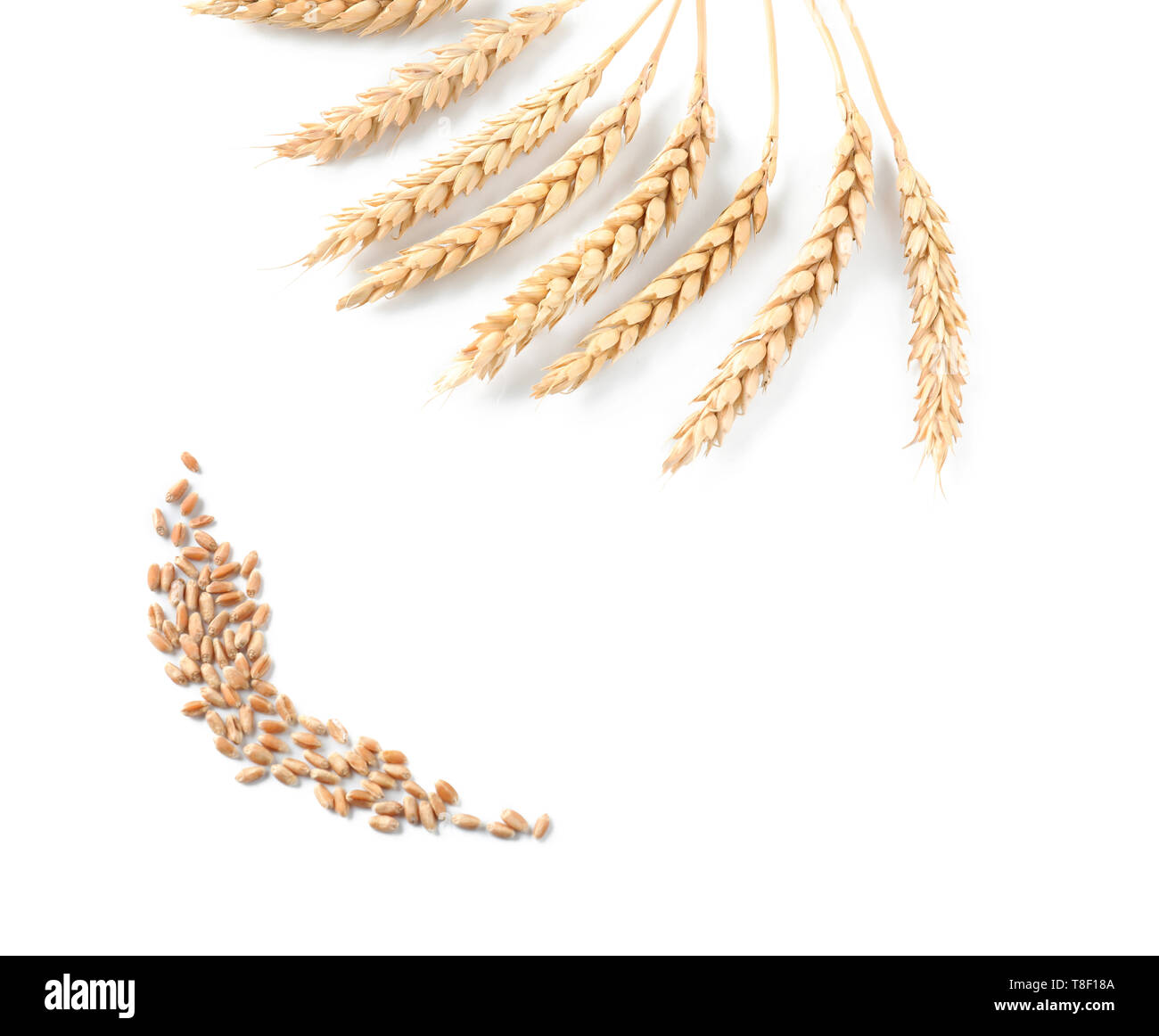 Wheat spikelets and grains on white background Stock Photo - Alamy