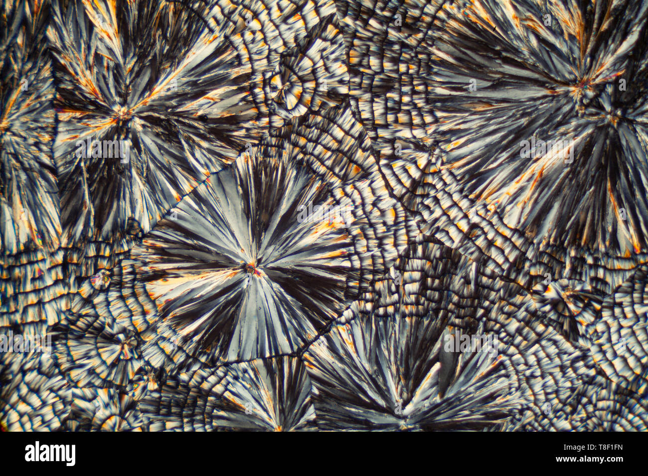 Polarizing microscope hi-res stock photography and images - Alamy