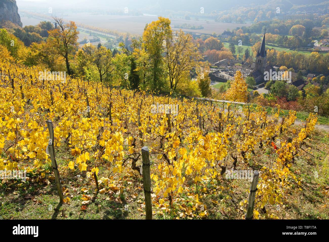 Bugey hi-res stock photography and images - Alamy