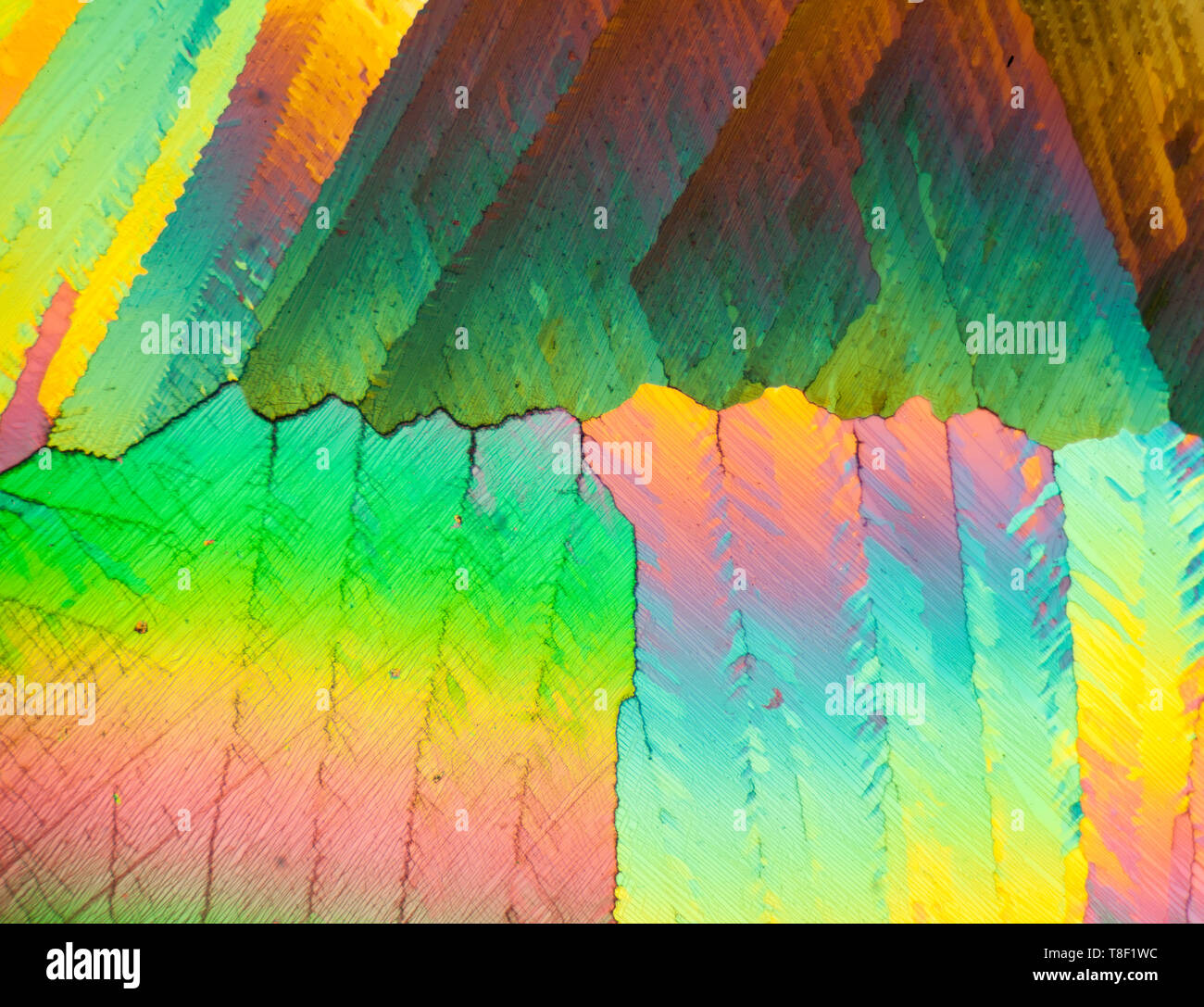 Polarizing microscope hi-res stock photography and images - Alamy