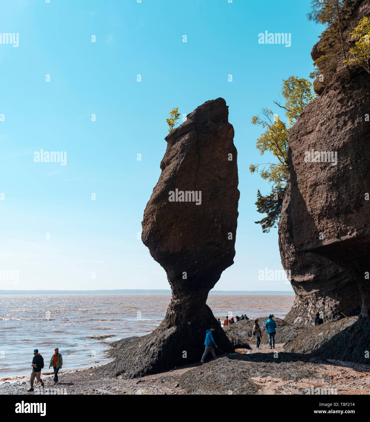 Bay of fundy walk hi-res stock photography and images - Alamy