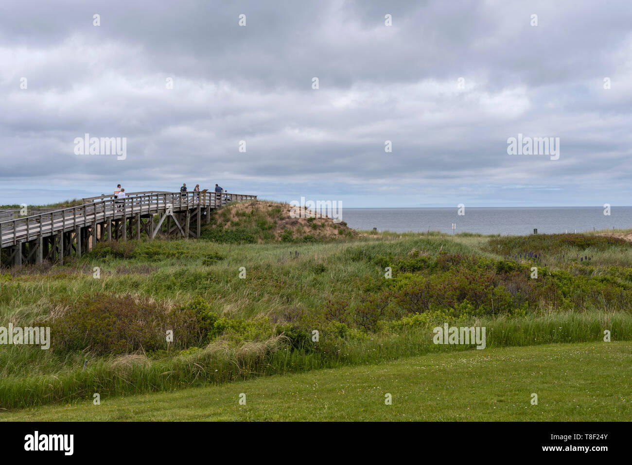 Miles of sand dunes, barrier islands, sandstone cliffs, wetlands, and ...