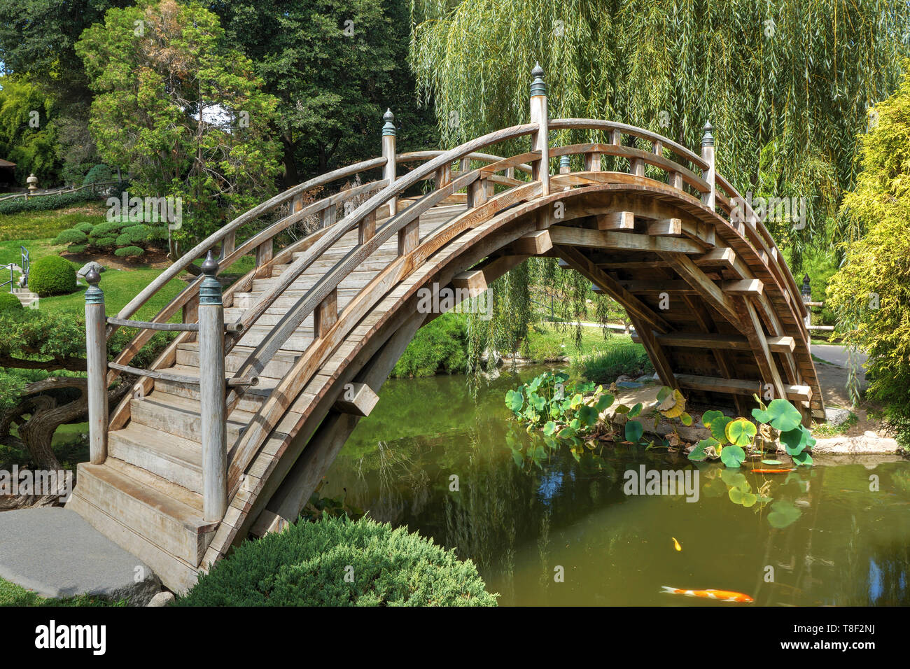 Huntington library and botanical gardens hi-res stock photography and ...