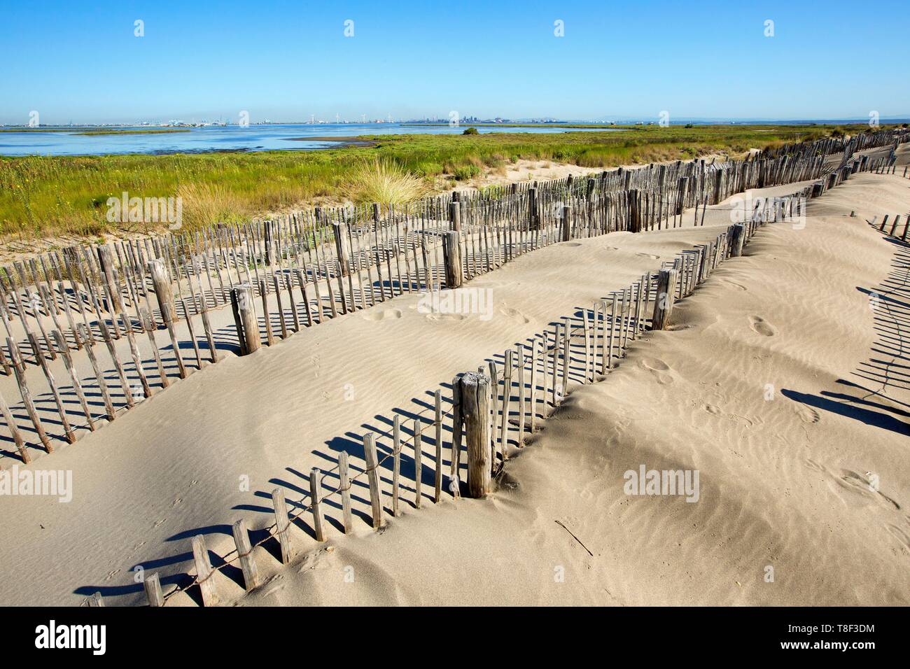 Napoleon beach hi-res stock photography and images - Alamy