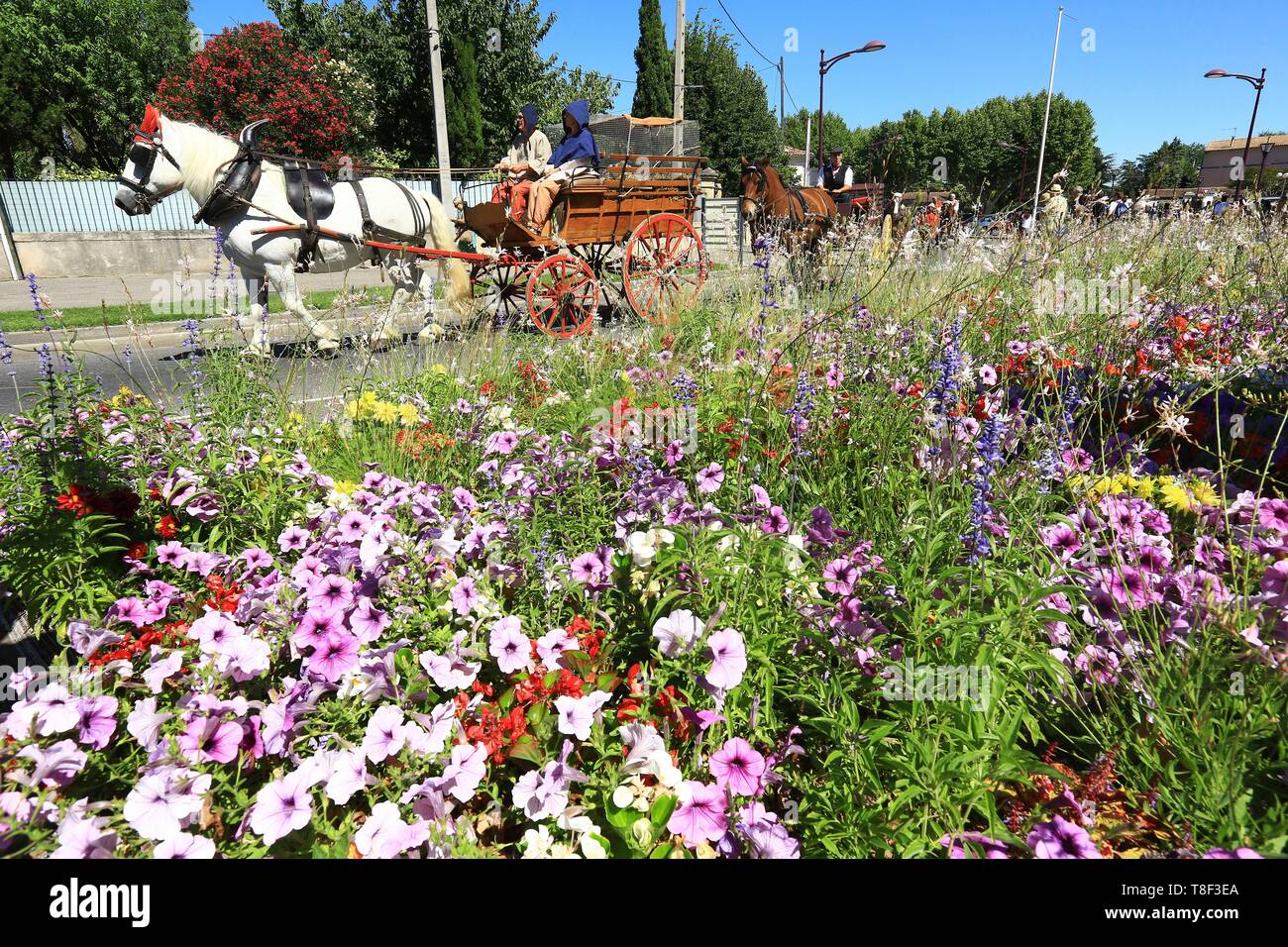Tarasque festival hi-res stock photography and images - Alamy