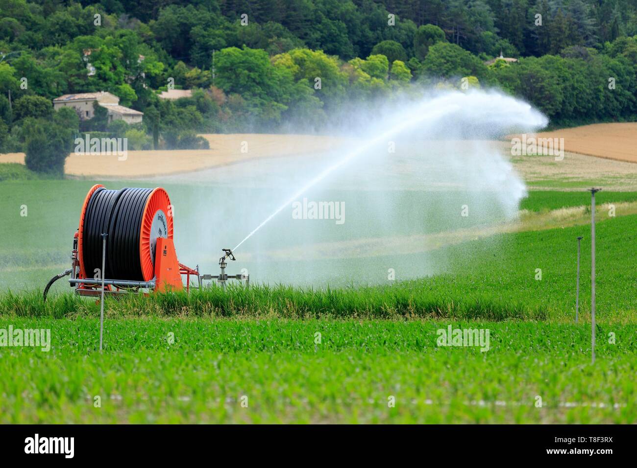 France, Drome, Marsanne, irrigation Stock Photo - Alamy