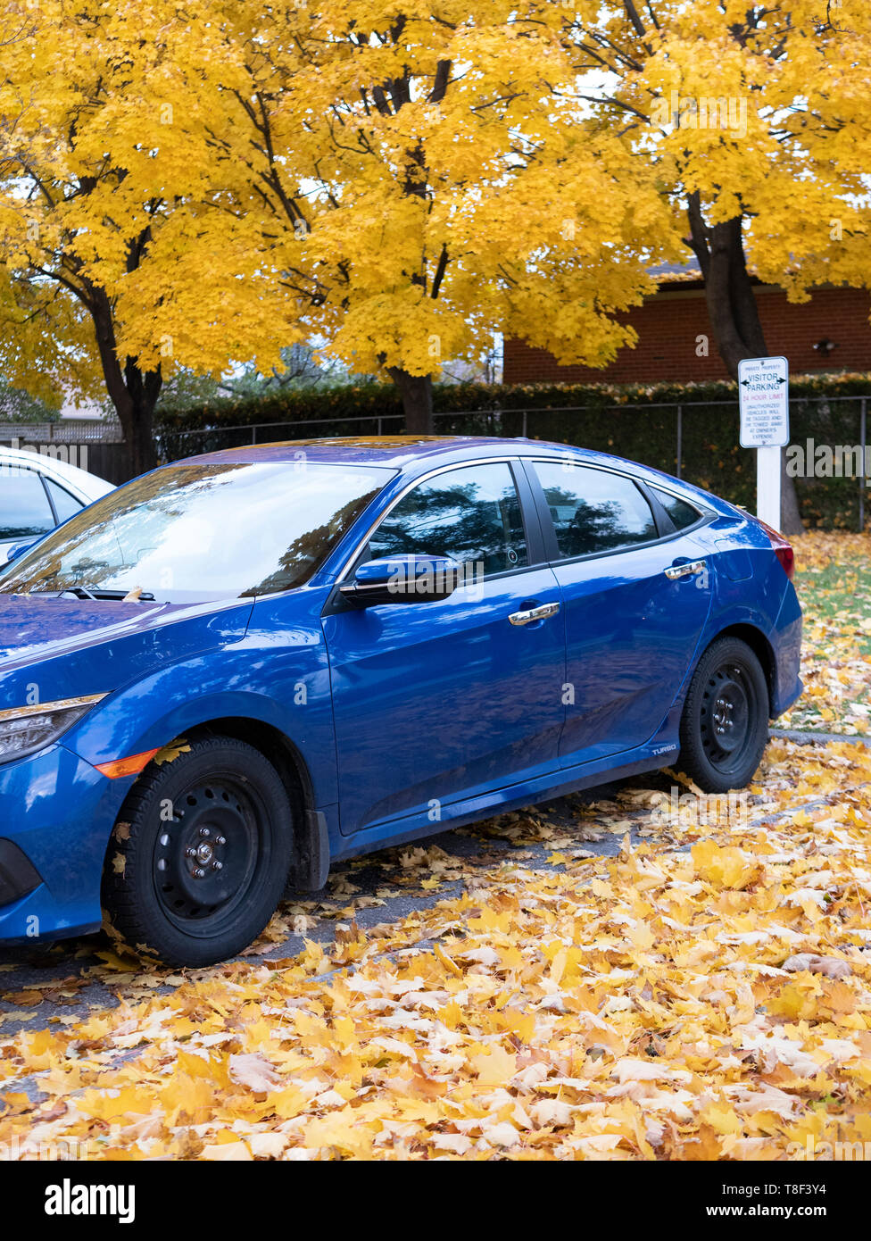 Street scenes during Autumn colors in a suburban city in Canada Stock ...