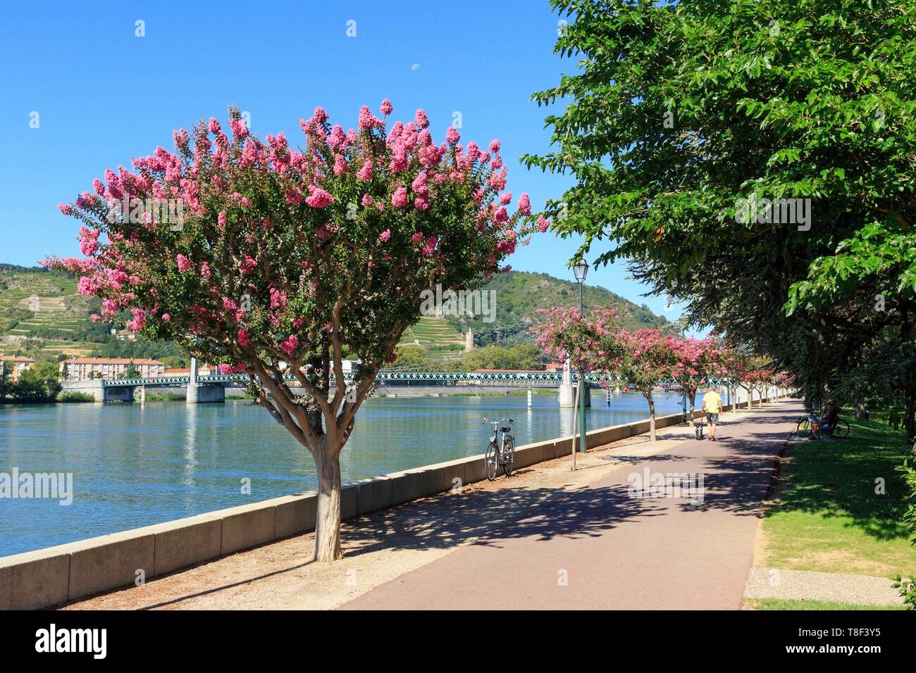 Tain l'hermitage river rhone hi-res stock photography and images - Alamy