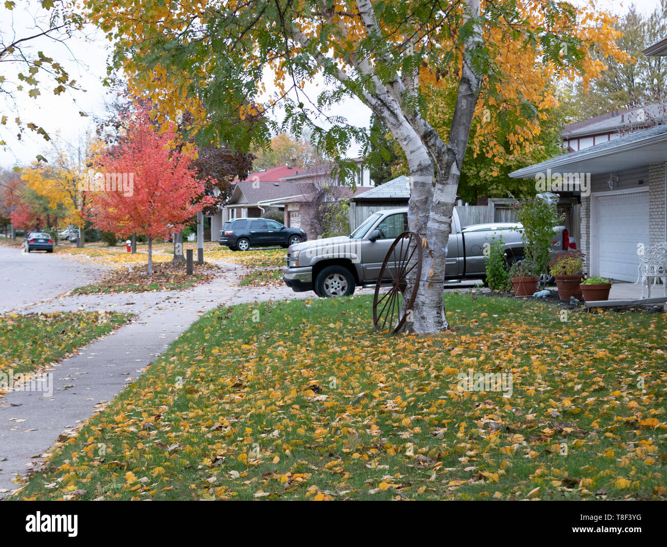 Street scenes during Autumn colors in a suburban city in Canada Stock ...