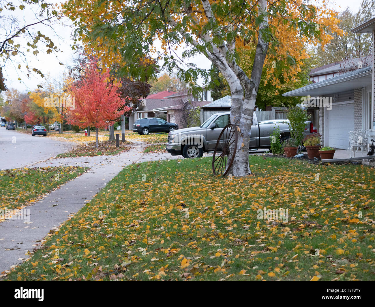 Street scenes during Autumn colors in a suburban city in Canada Stock ...