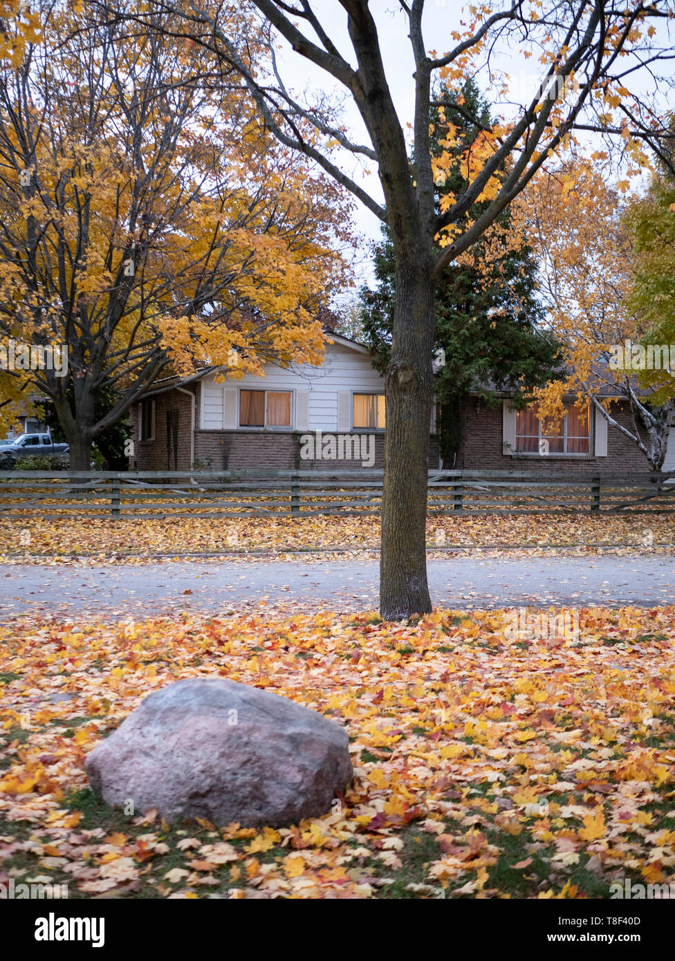 Street scenes during Autumn colors in a suburban city in Canada Stock ...