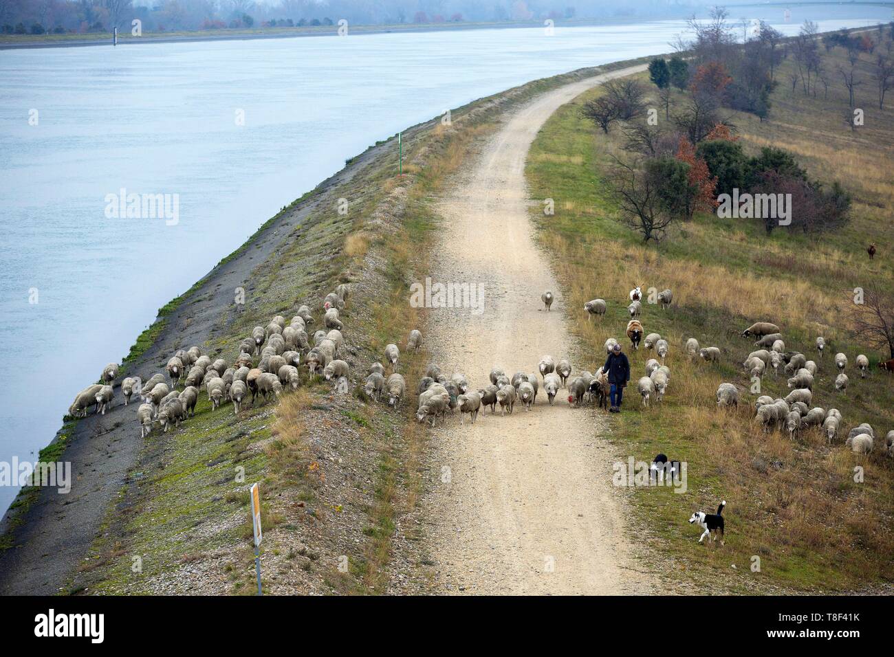 Pascaline hi-res stock photography and images - Alamy