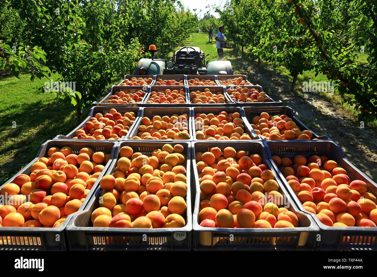 Bergeval hi-res stock photography and images - Alamy
