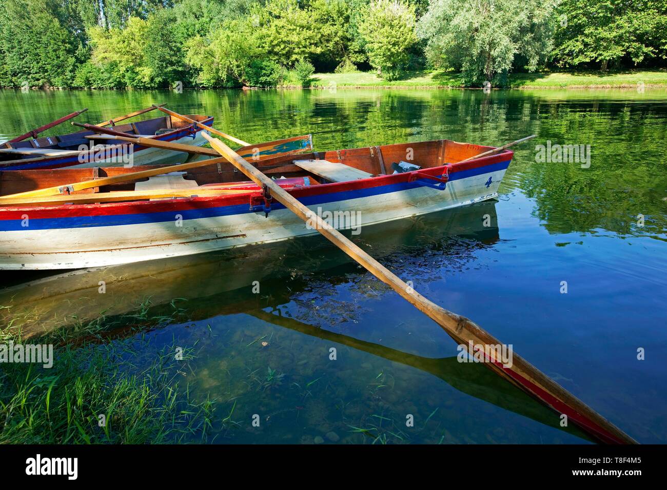 France, Rhone, Loire-sur-Rhone, water plan and pool, life raft Stock ...