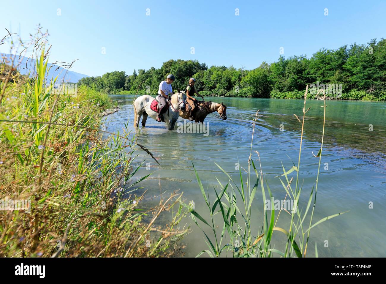 France, Savoy, Yenne, The Rhone, horseback riding Stock Photo - Alamy