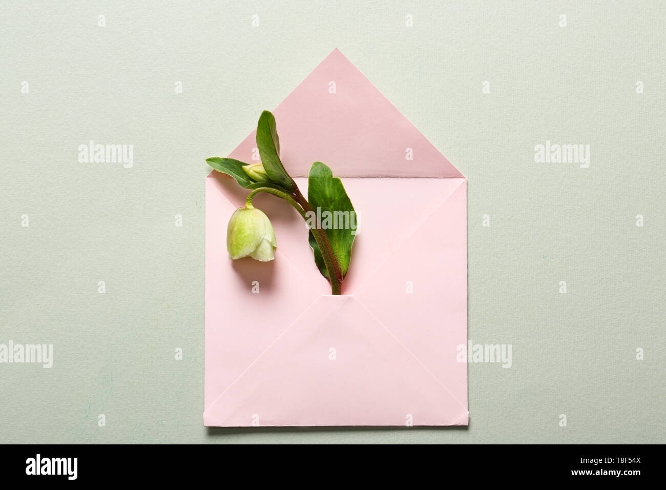 Open mail envelope with flowers on light background Stock Photo - Alamy