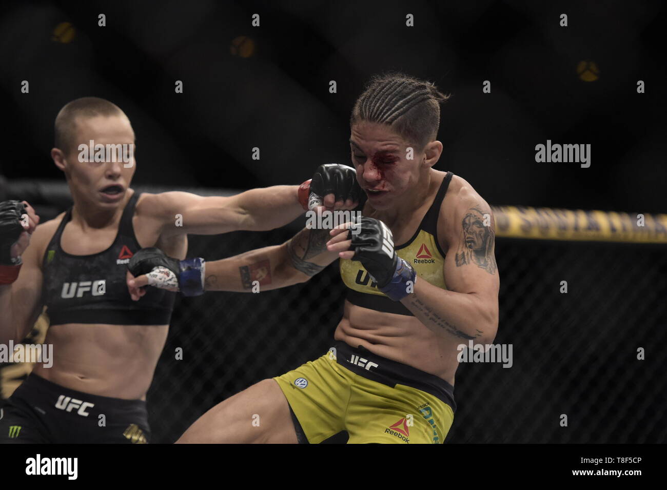 Rio de Janeiro-Brazil, May 11, 2019. UFC 237 in Rio de Janeiro, fight ...