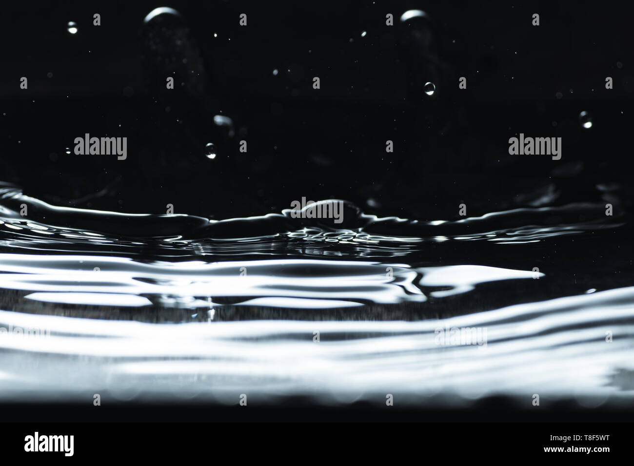 Water Splash Isolated on black. Abstract water background. Motion ...