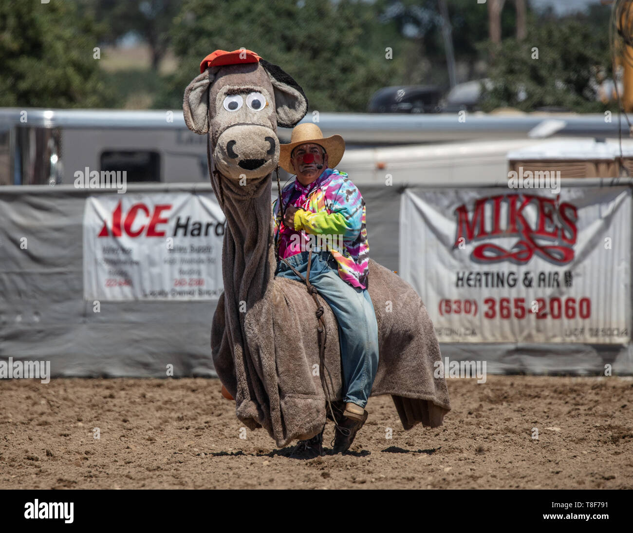 A rodeo clown having a good time at the 2019 Cottonwood Rodeo in ...