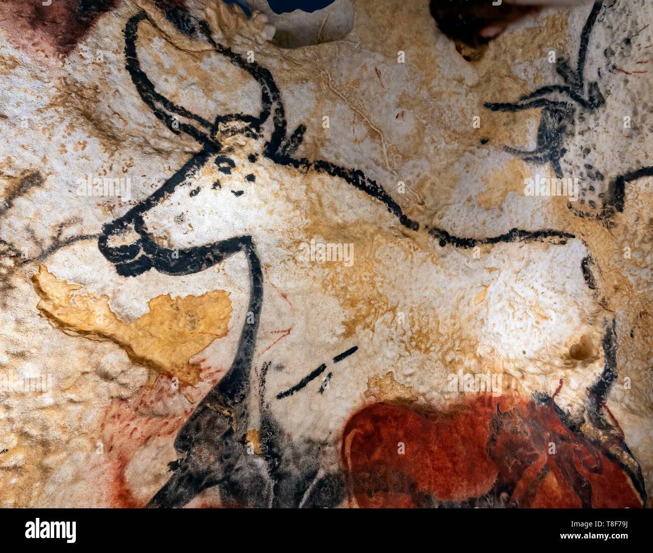 Cave painting hi-res stock photography and images - Alamy