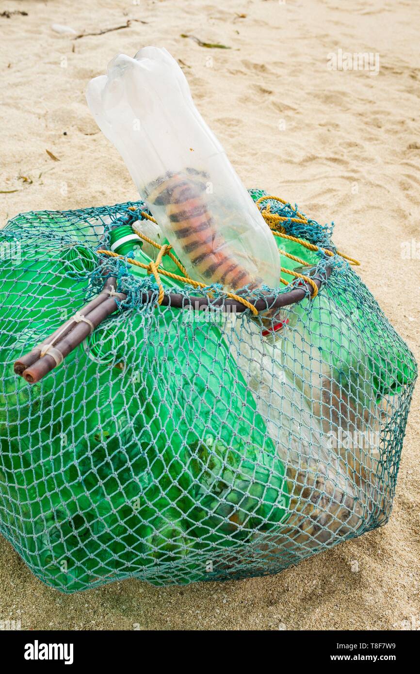 Philippines, Palawan, Roxas, Green Island, mantis shrimp in plastic ...