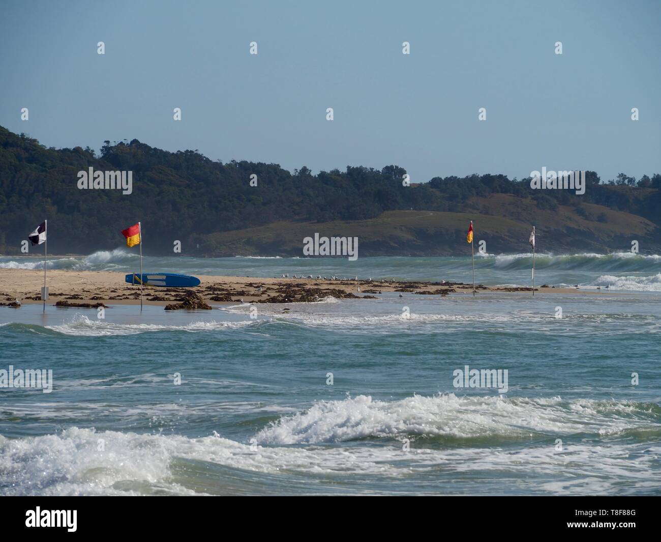 Swim between the flags. Surf Lifesaver flags and equipment on an ...