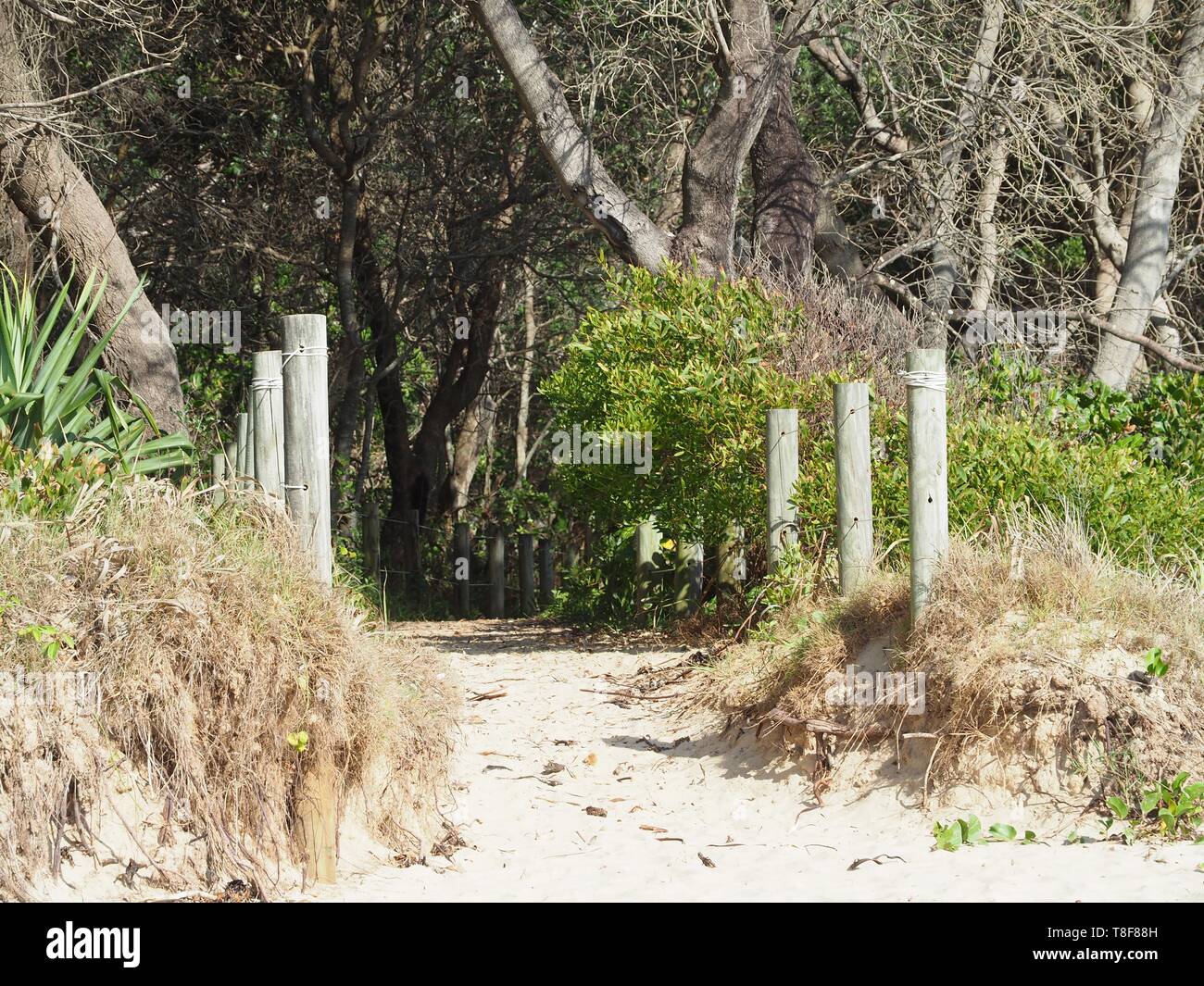 entry to beach Stock Photo - Alamy