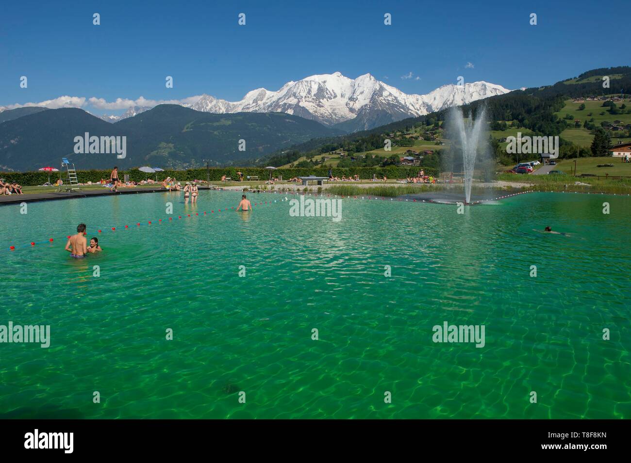 France, Haute Savoie, Mont Blanc, Combloux, the ecological water body ...