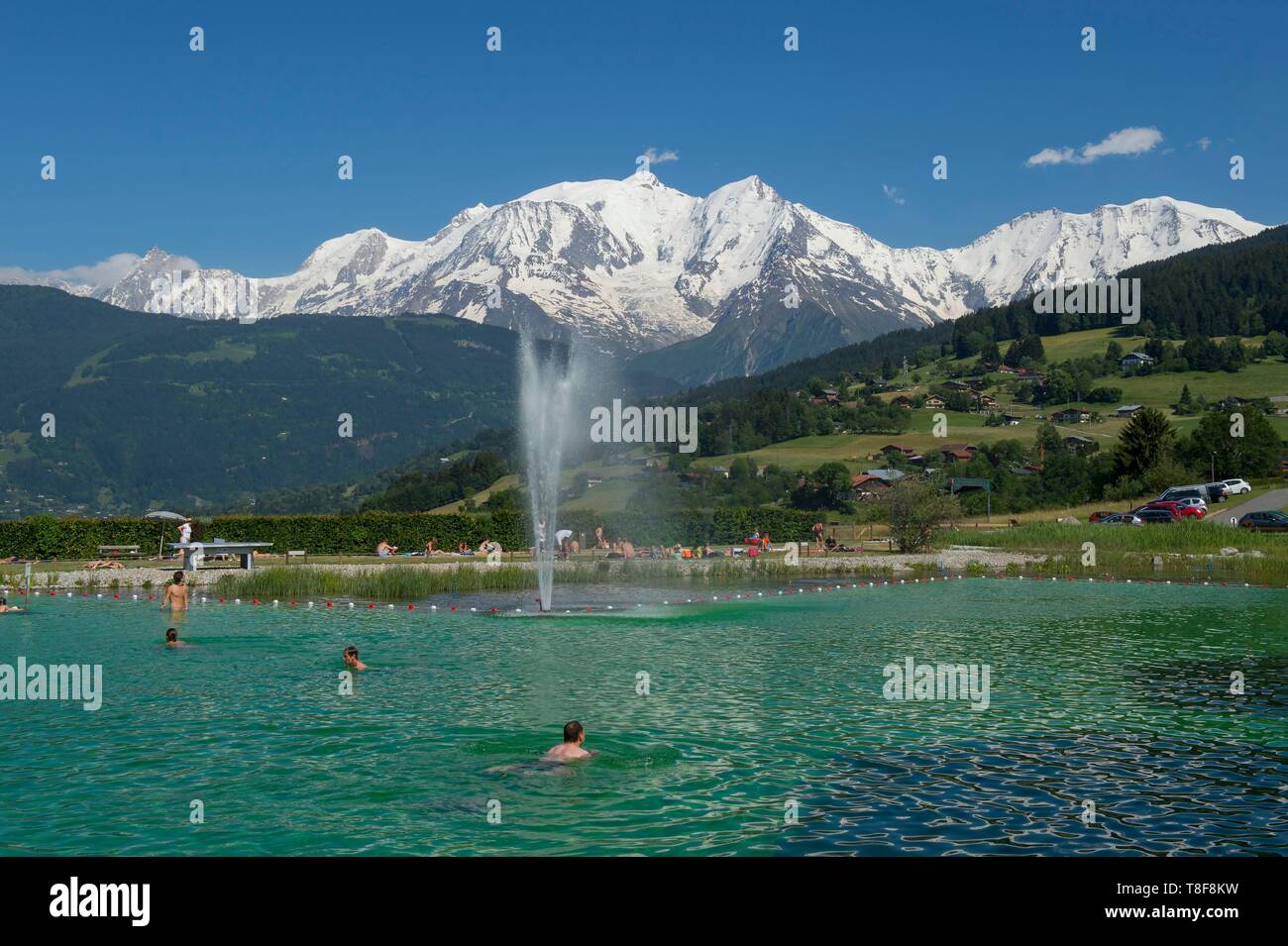 France, Haute Savoie, Mont Blanc, Combloux, the ecological water body ...