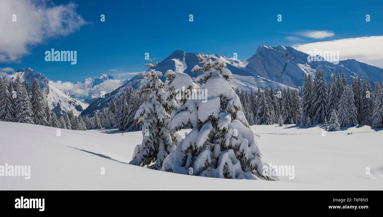Snowy Mountain Ledge