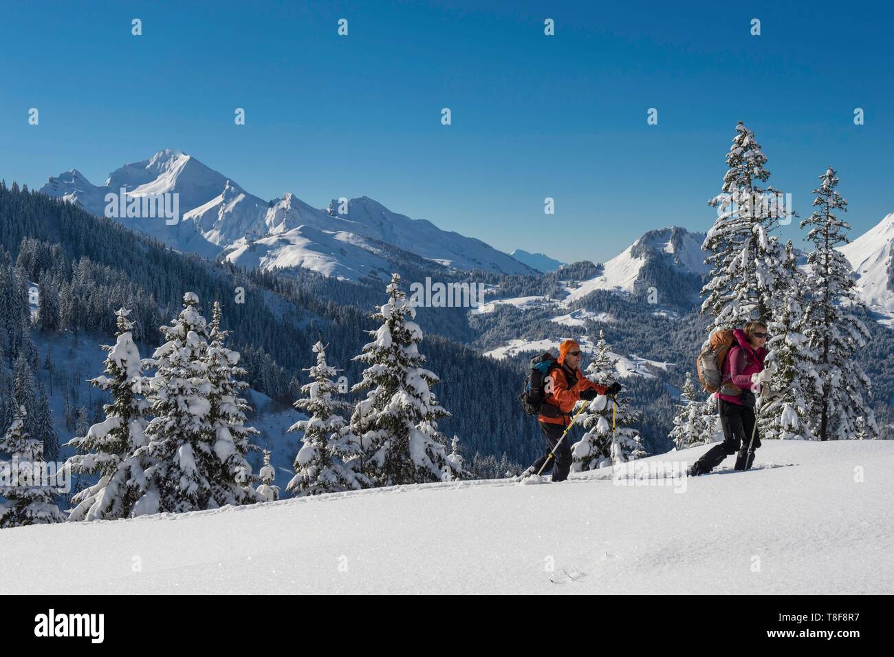 France, Haute Savoie, massif of Aravis, gone hiking in racket on the ...