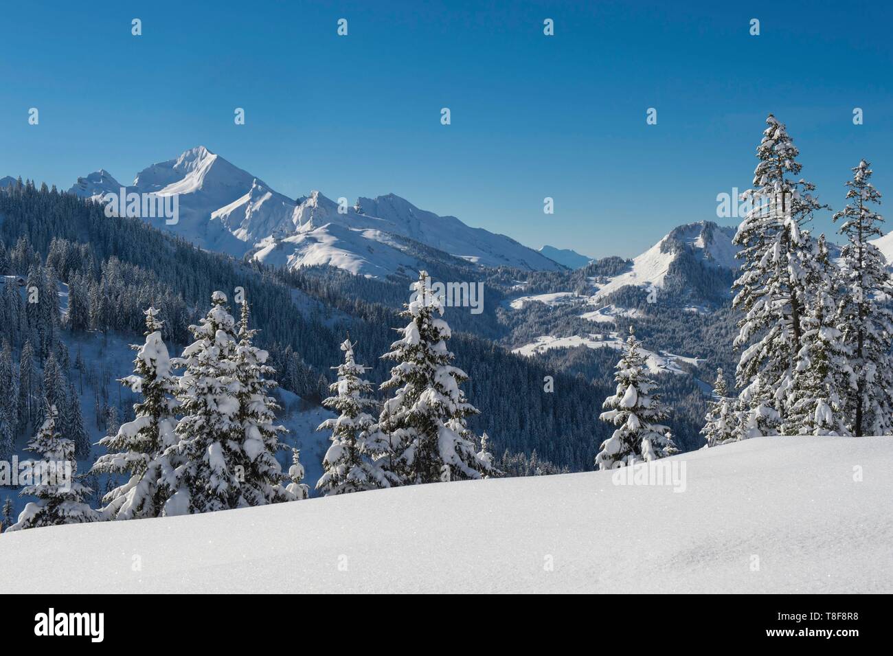 France, Haute Savoie, massif of Aravis, gone hiking in racket on the ...