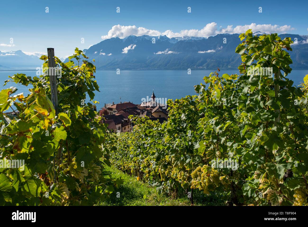 Building of rivaz hi-res stock photography and images - Alamy