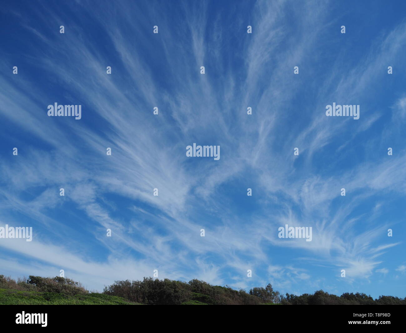 White Wispy heavenly Cirrus Clouds forming pretty patterns in the blue ...