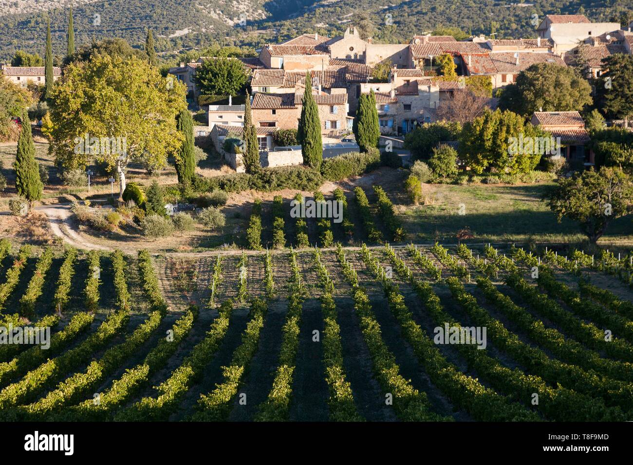 Bedoin vineyard provence hi-res stock photography and images - Alamy