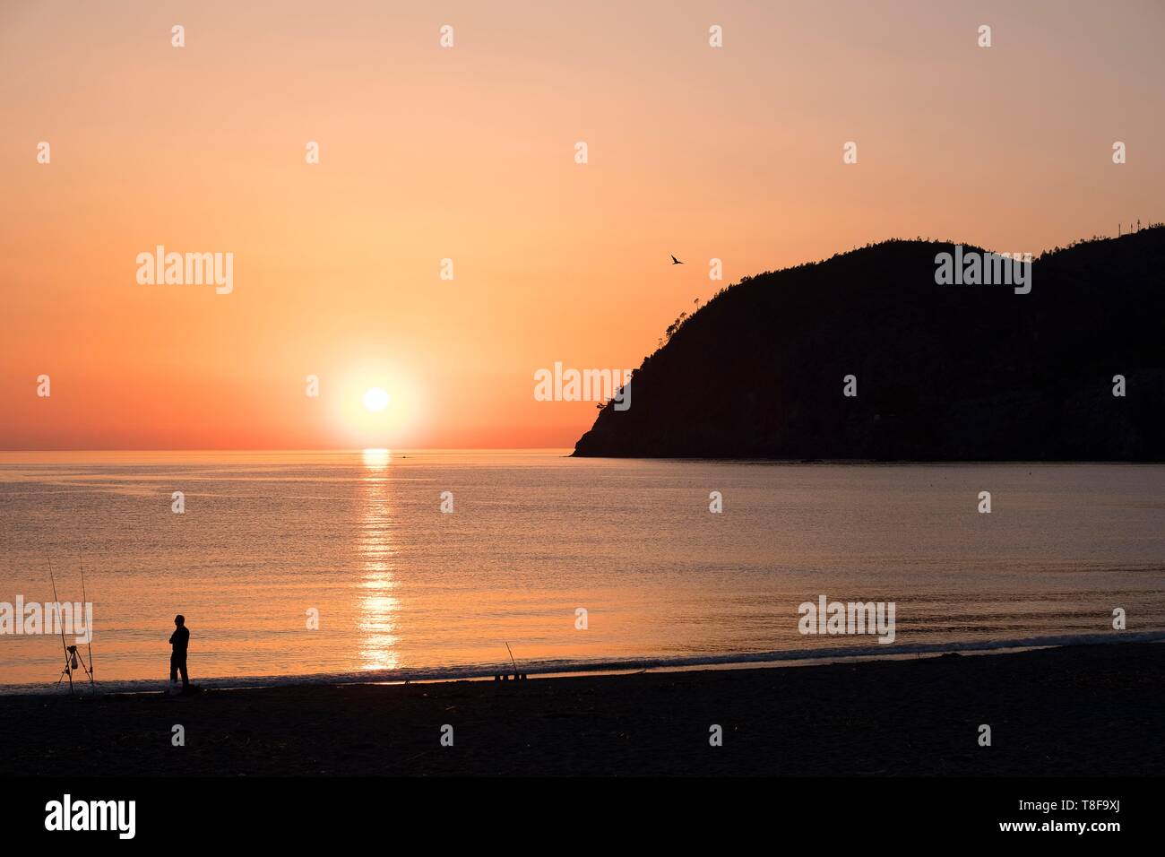 Liguria beach hi-res stock photography and images - Alamy