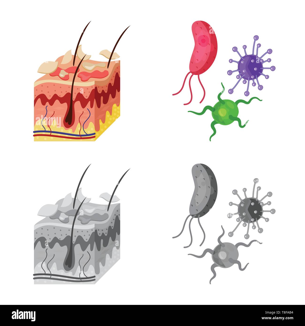 skin,bacteria,epidermis,virus,adipose,microbe,tissue,laboratory,anatomy ...