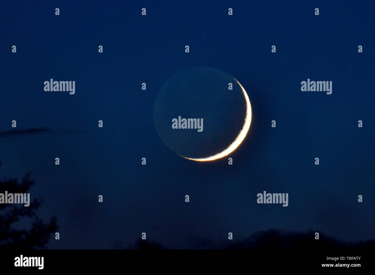 Moon croissant hi-res stock photography and images - Alamy