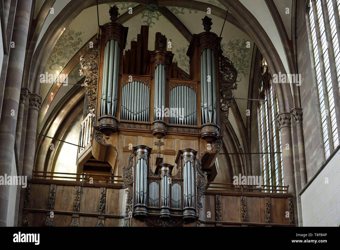 Silbermann organ hi-res stock photography and images - Alamy