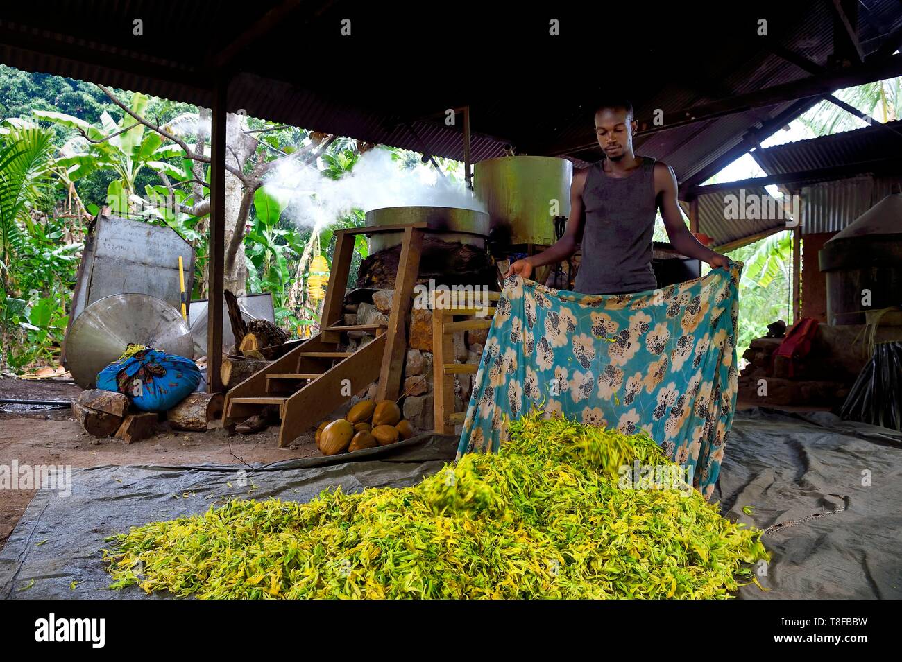 France, Mayotte island (French overseas department), Grande Terre ...
