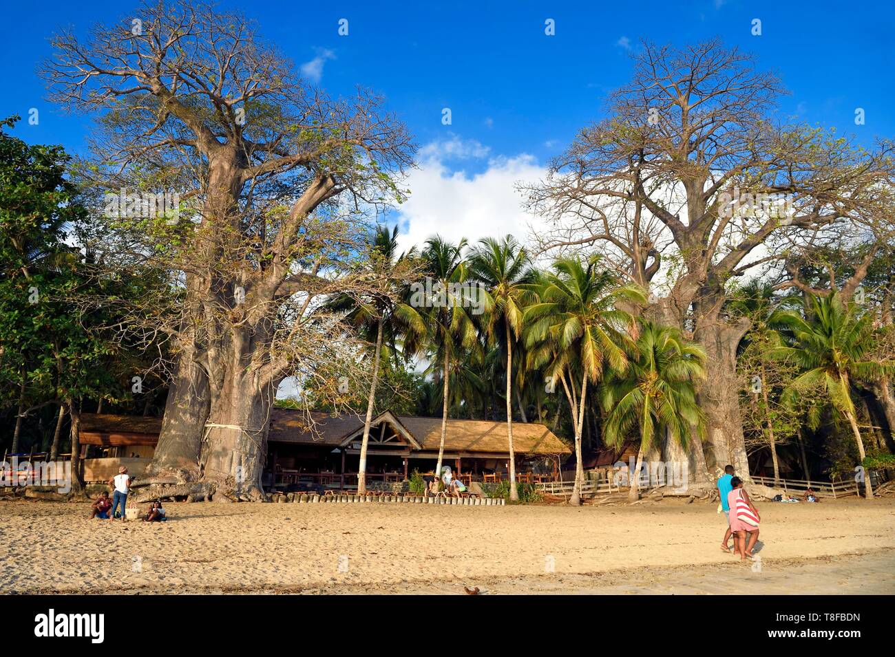 Mayotte beach hi-res stock photography and images - Alamy