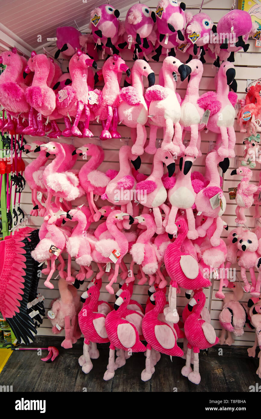 Key West, USA-december 26. 2015 : Toy flamingos on shop display in Key ...