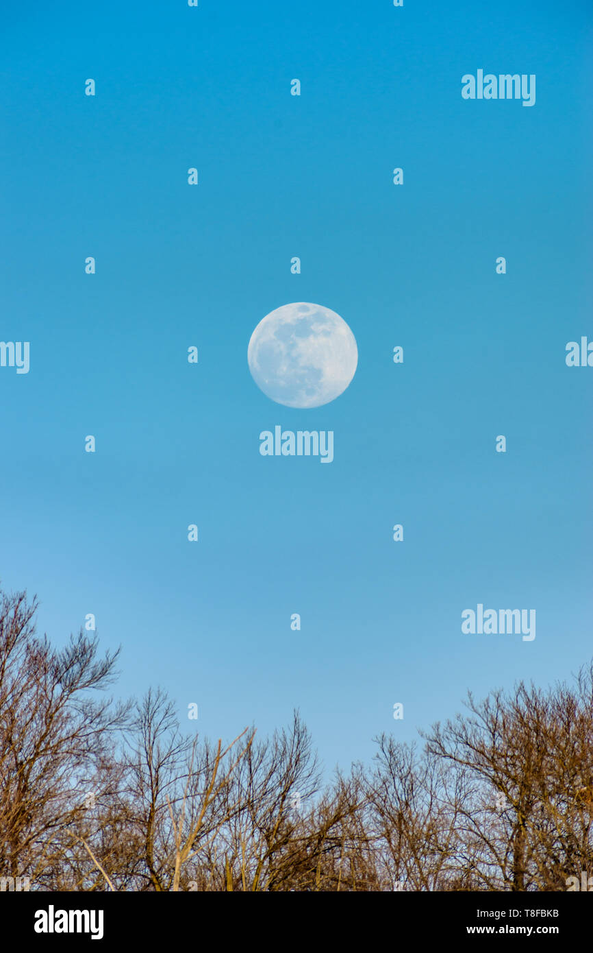 Full moon daytime hi-res stock photography and images - Alamy